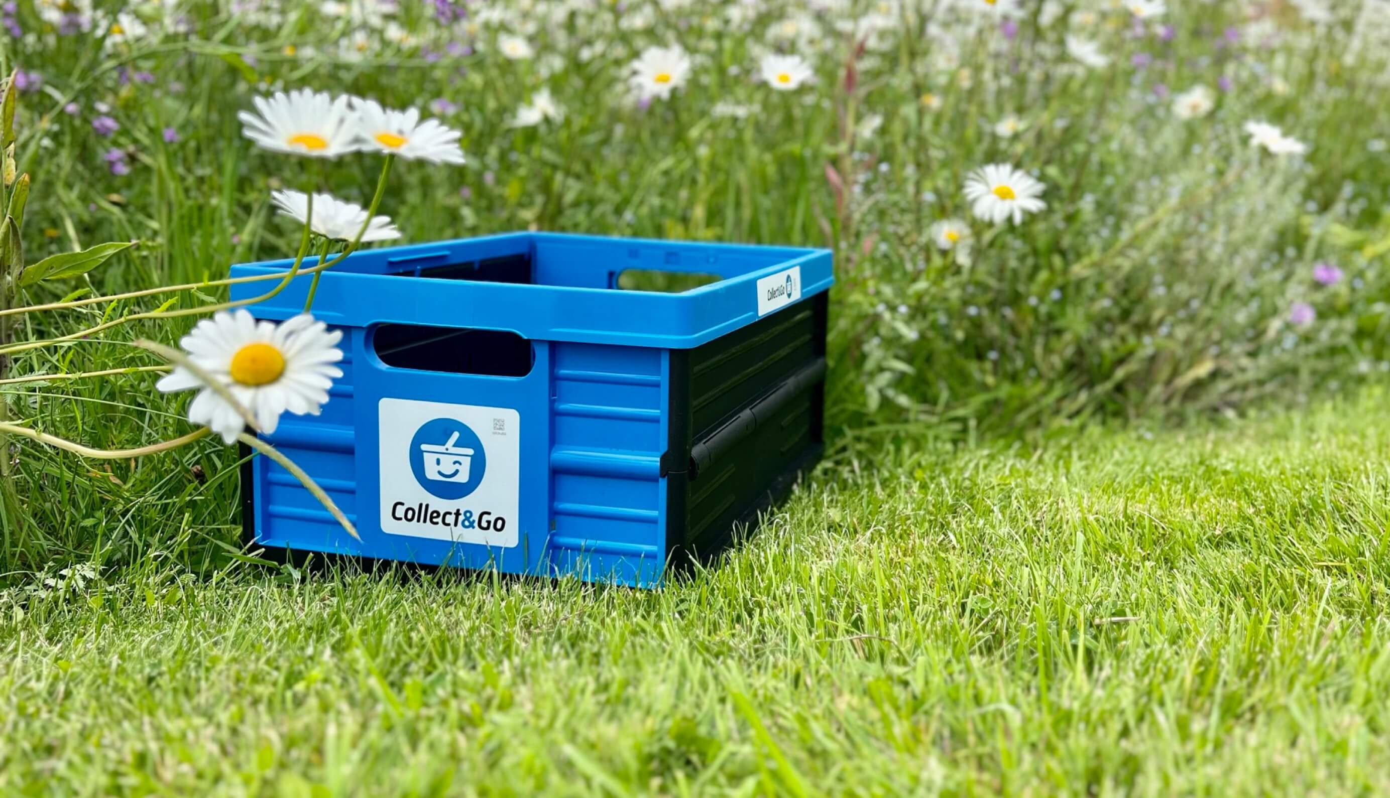 Leef vollenbak met bakpakkers | Collect&Go